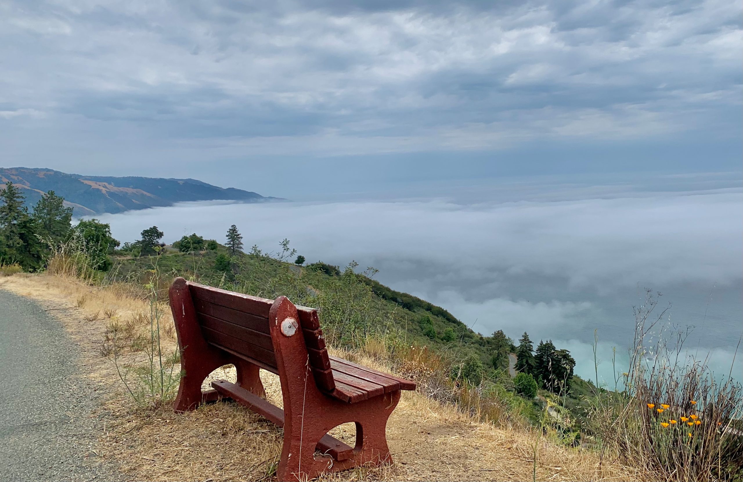 Unite with Nature, Sit Spot, Personal Growth, Gaia Consciousness